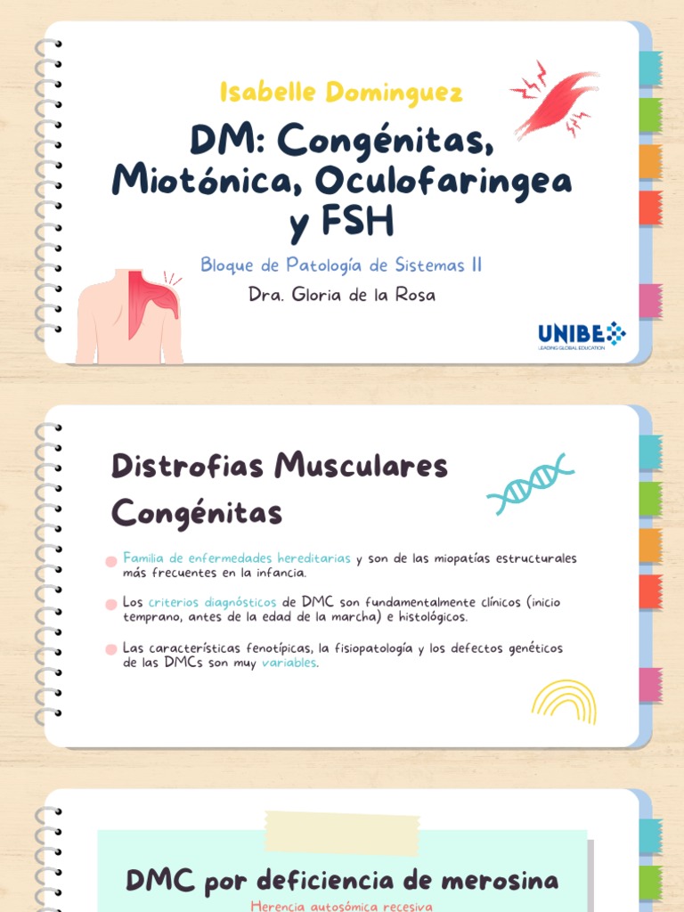 Distrofias Musculares: Tipos y Diagnóstico | PDF | Gene | Mutación