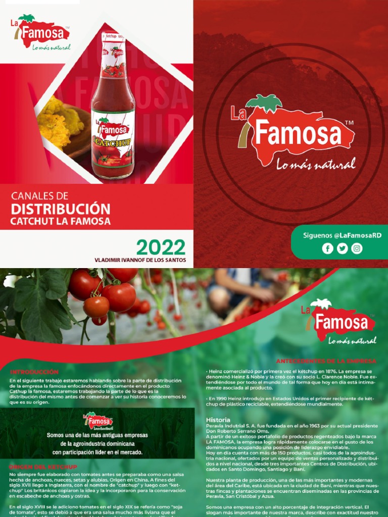 Revista - Catchup La Famosa (Canales de Distribución) PDF | PDF