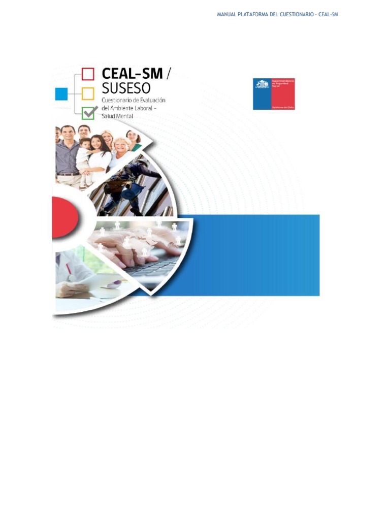Instructivo de Uso Cuestionario CEAL SM SUSESO | PDF | Cuestionario ...