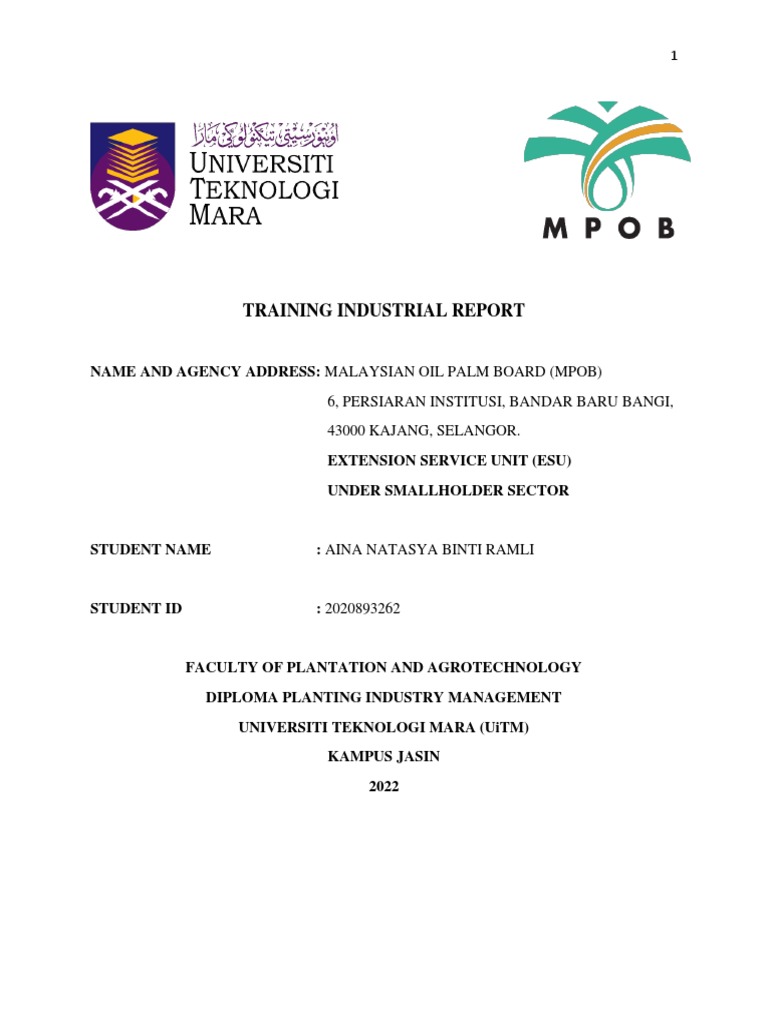 Training Industrial Report Aina Natasya PDF | Download Free PDF | Palm ...