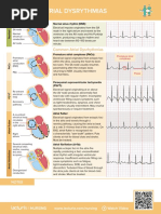 BLS Powerpoint | PDF | Cardiopulmonary Resuscitation | Medical Treatments