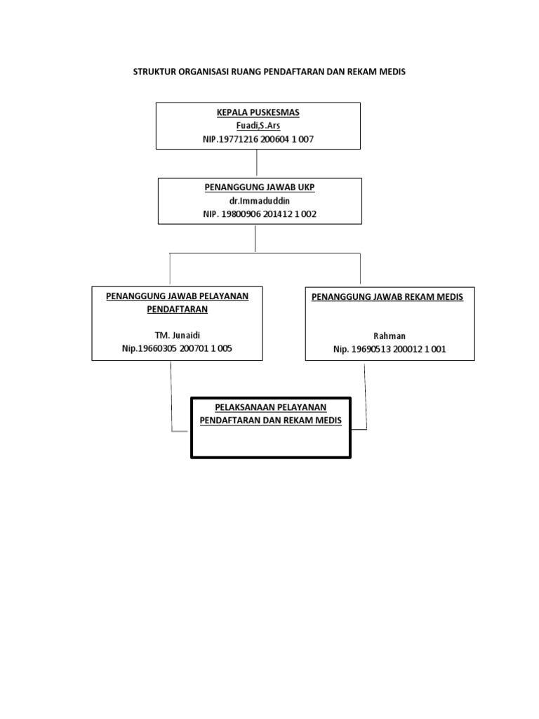 Struktur Organisasi Ruang Pendaftaran Dan Rekam Medis | PDF