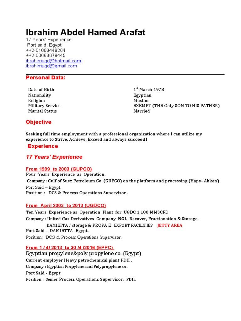 Ibrahim Arafat CV 2018 | PDF | Egypt | Simulation