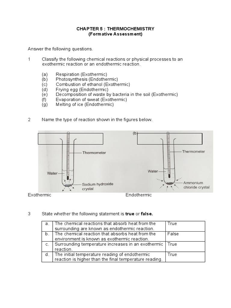 CHAPTER 5 Formative Assessment | PDF