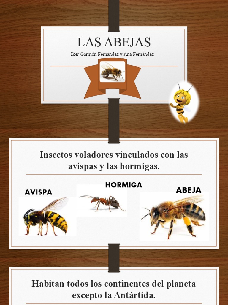 Las Abejas | PDF