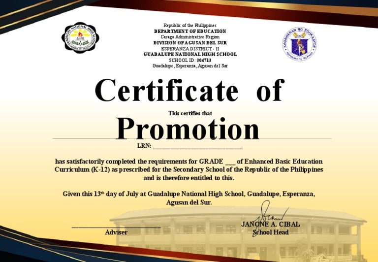 Certificate For PROMOTION | PDF