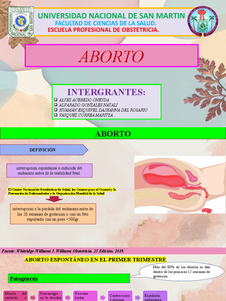 Abortoo | Descargar gratis PDF | El embarazo | Aborto