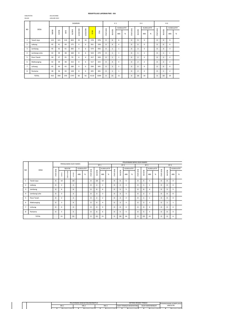 Laporan PWS Kia Baru 2023 | PDF