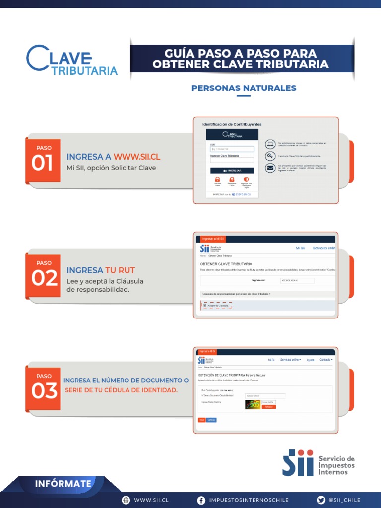 Guia Obtener Clave | PDF