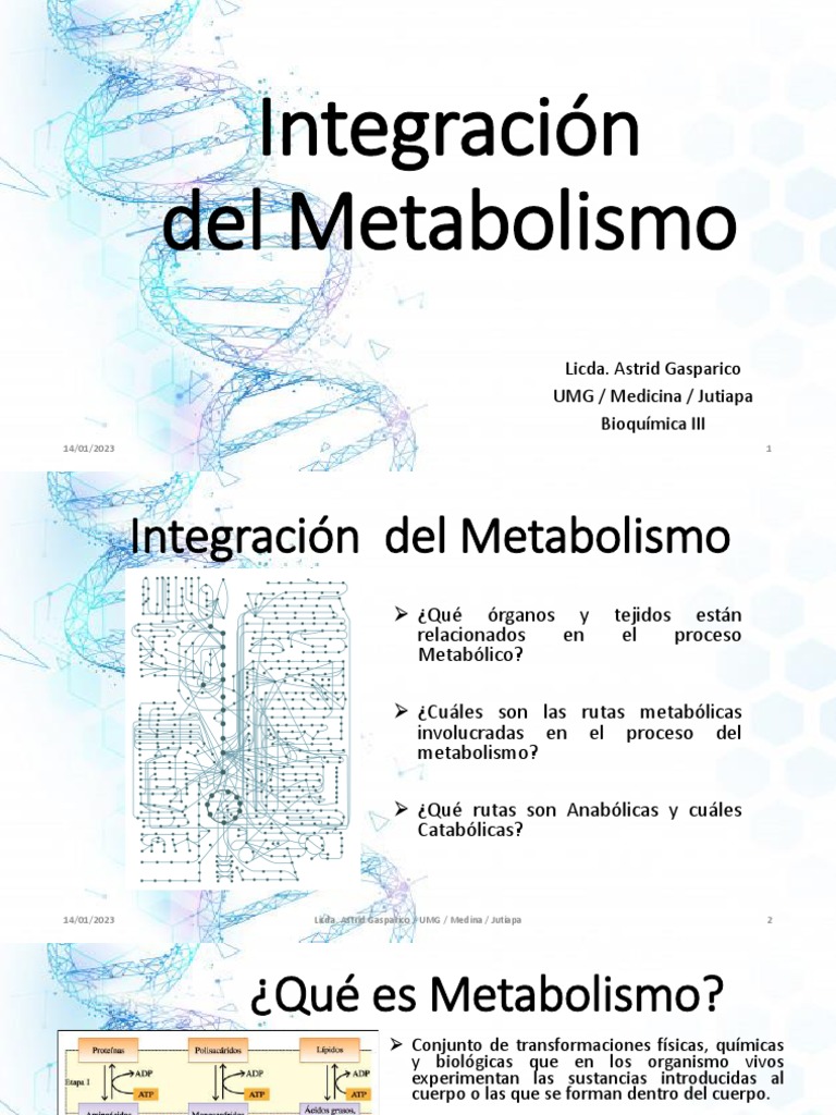 Clase 1. Integración Del Metabolismo | PDF