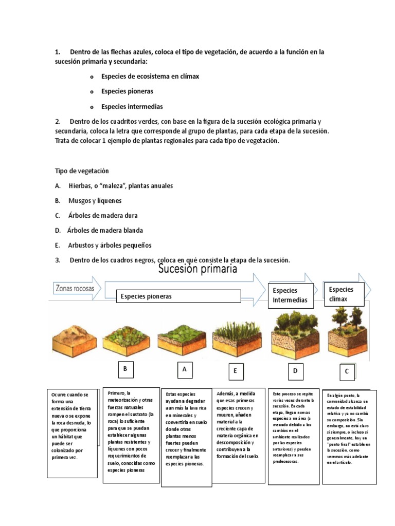 CABN Act05 | PDF | Suelo | Plantas
