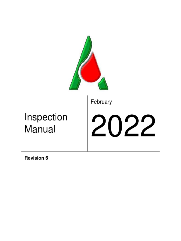 Rev6 Inspection Manual Overview | PDF | Nondestructive Testing | Valve