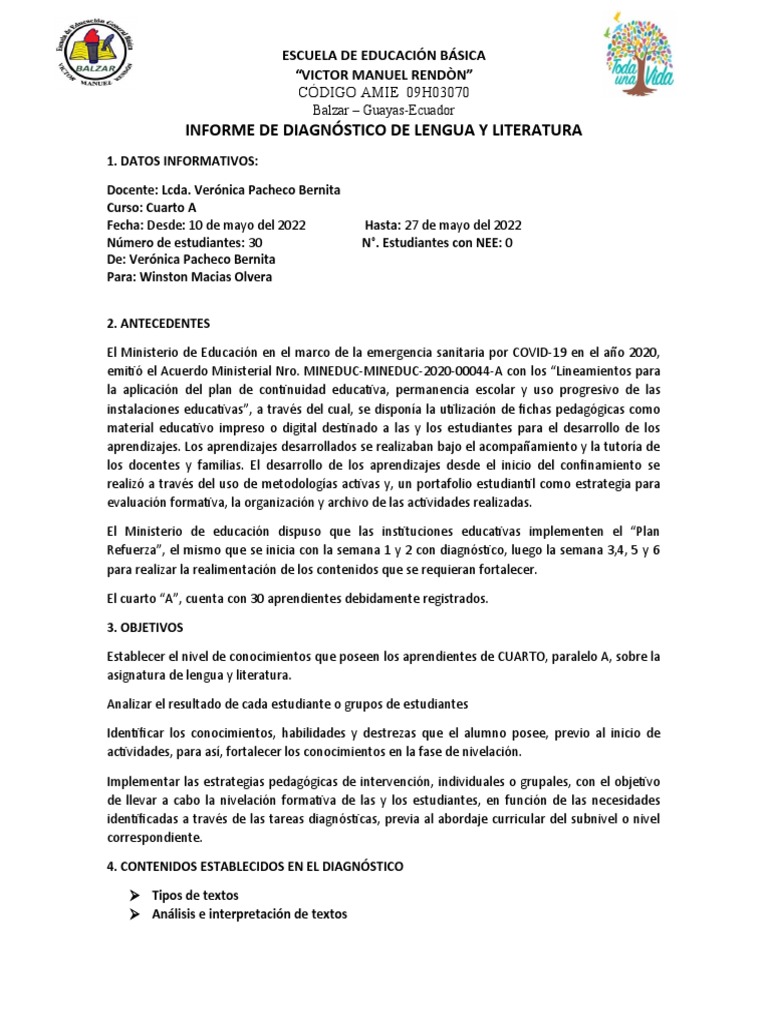Informe de Diagnóstico | PDF | Educación primaria | Aprendizaje