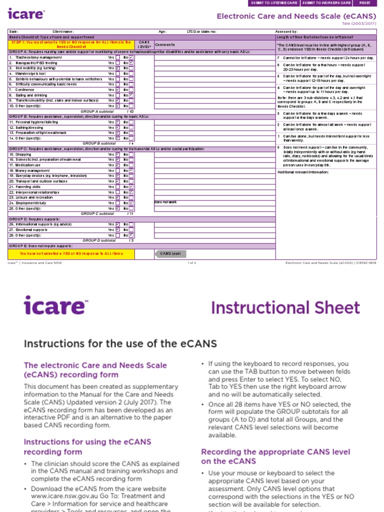 Electronic Care and Needs Scale eCANS | Download Free PDF | Software | Computing
