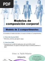 Interpretación de Medidas Antropométricas Completa | PDF | Índice de masa corporal | Tejido adiposo