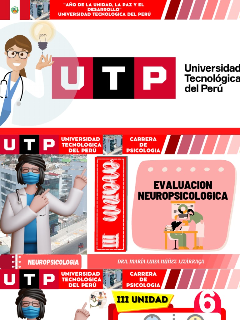 Tema N°6 Instrumentos de Evaluacion Neuropsicologica | PDF | Neuropsicología | Evaluación