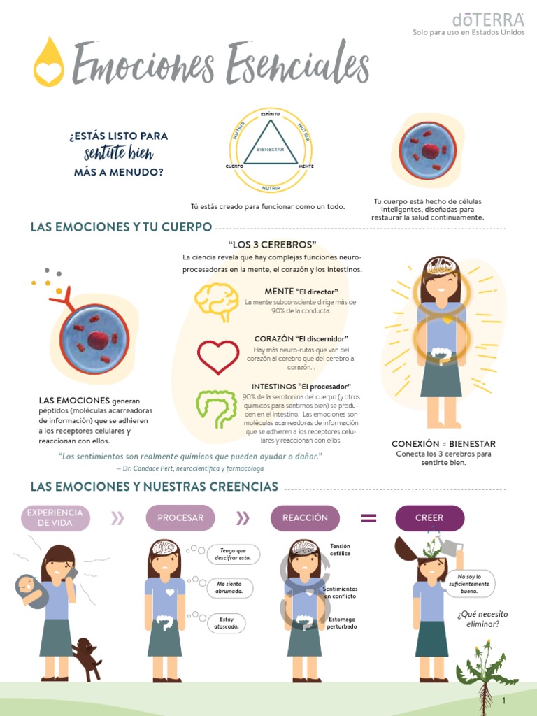Essential Emotions Class Handout | PDF | Mente | Las emociones