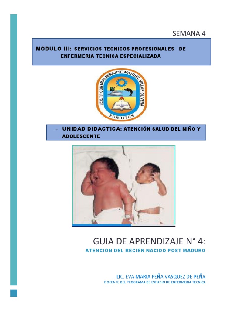 Guia de Aprendizaje N°4-Atencion Del Niño Prematuro | PDF | Parto | Especialidades Medicas