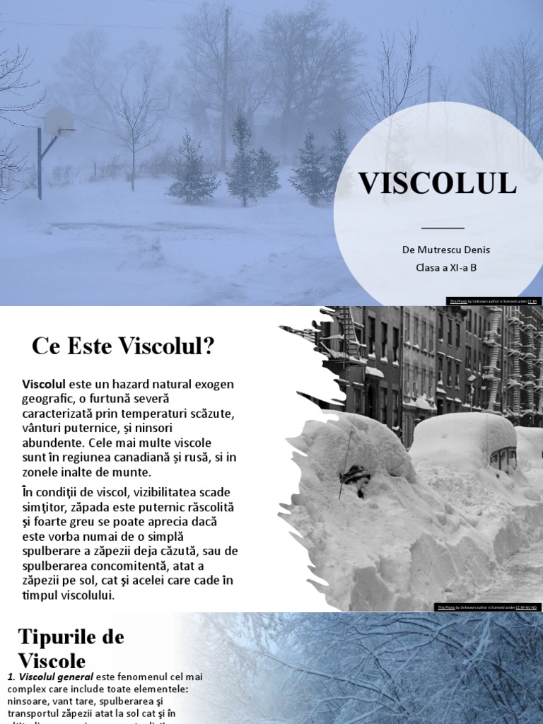 Viscolul | PDF