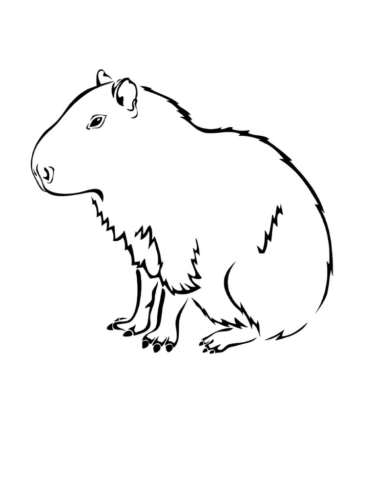 CAPIBARA | PDF