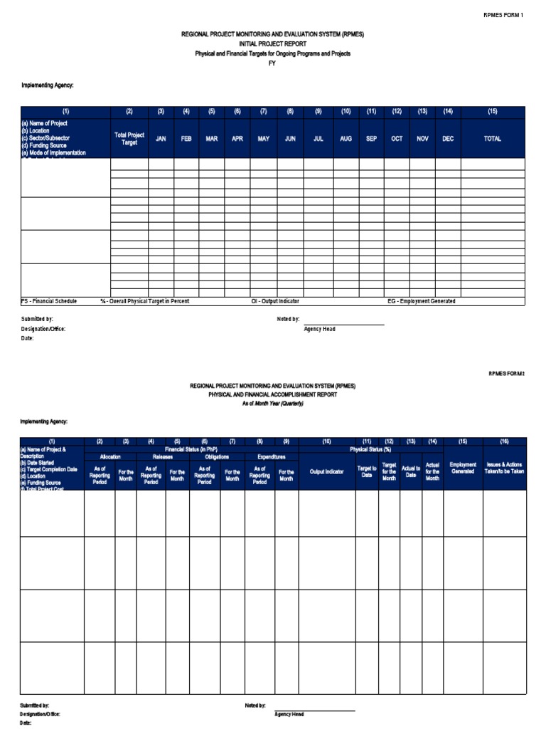 RPMES Form 1: Initial Project Report | PDF | Monitoring And Evaluation ...