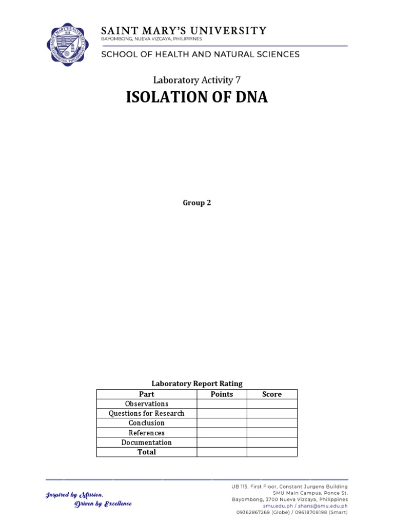 Isolation of DNA | PDF | Dna | Cell (Biology)