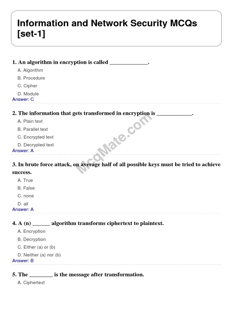 Information and Network Security Set 1 | PDF