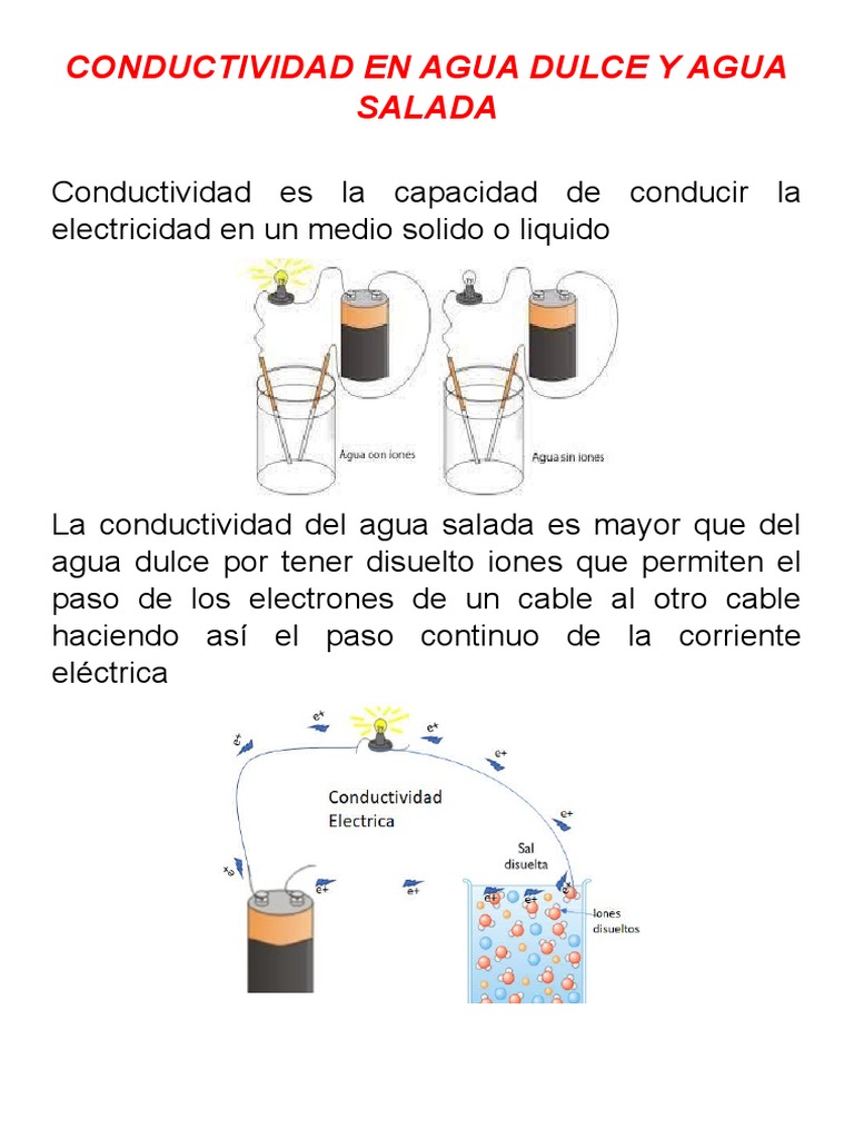 Conductividad en Agua Dulce y Agua Salada | PDF