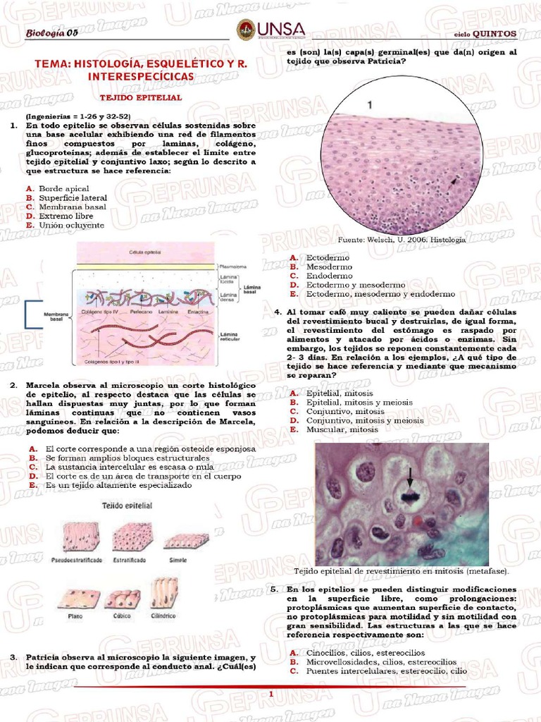 11 Biologia 05 Quintos 2021 | PDF