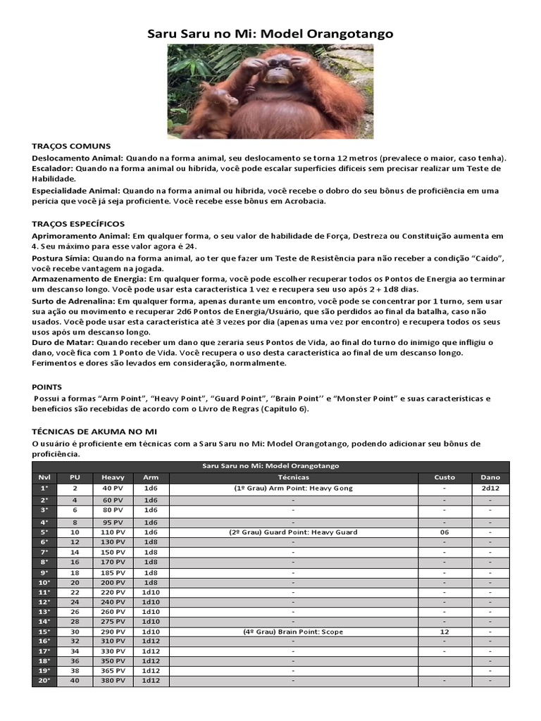 Saru Saru No Mi Model Orangotando | PDF