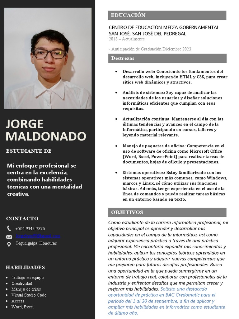 Cv. Jorge Maldonado | PDF | Microsoft Excel | Microsoft Word