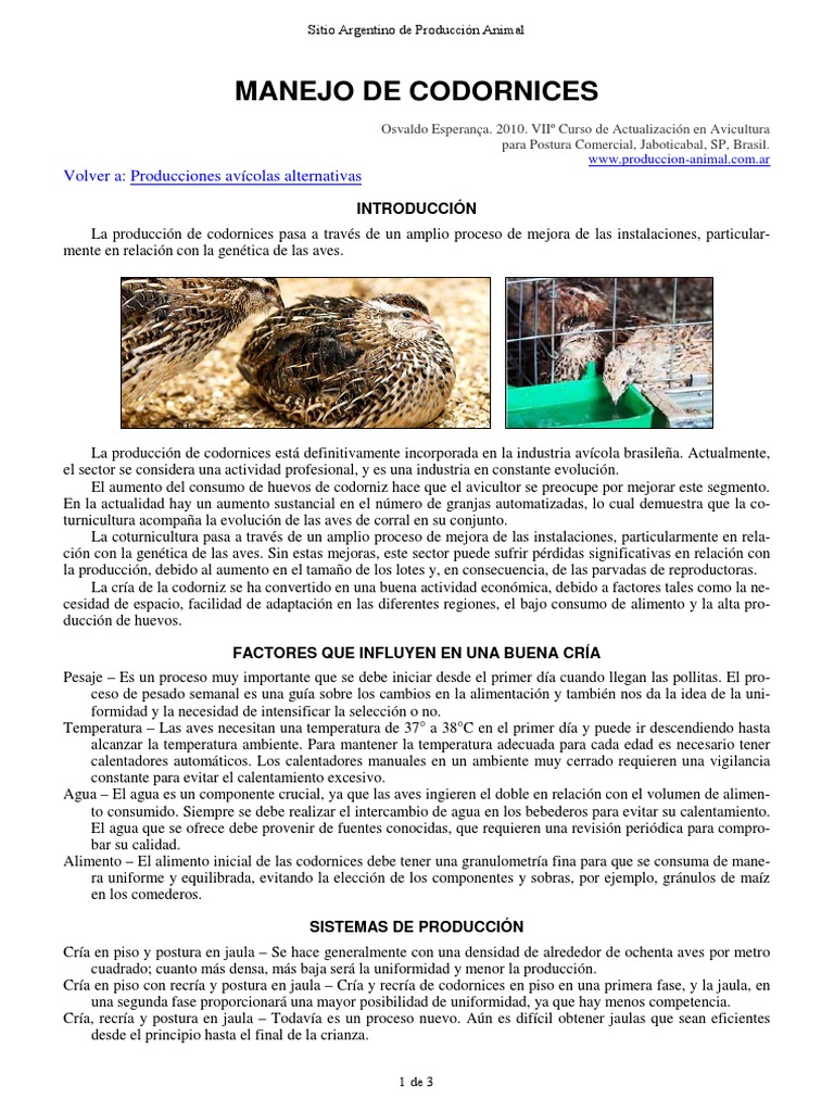 27-Manejo de Codornices | PDF