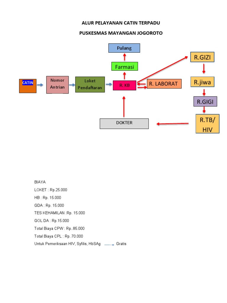 Alur Pelayanan Catin Terpadu 2 | PDF