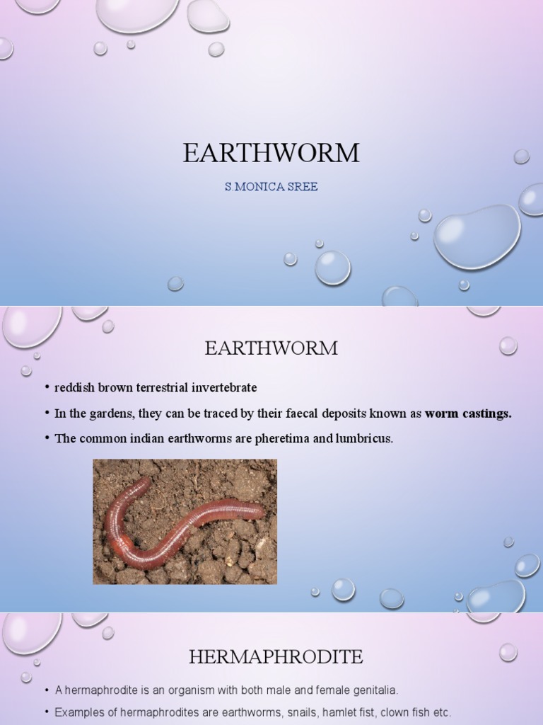 Earthworm | PDF