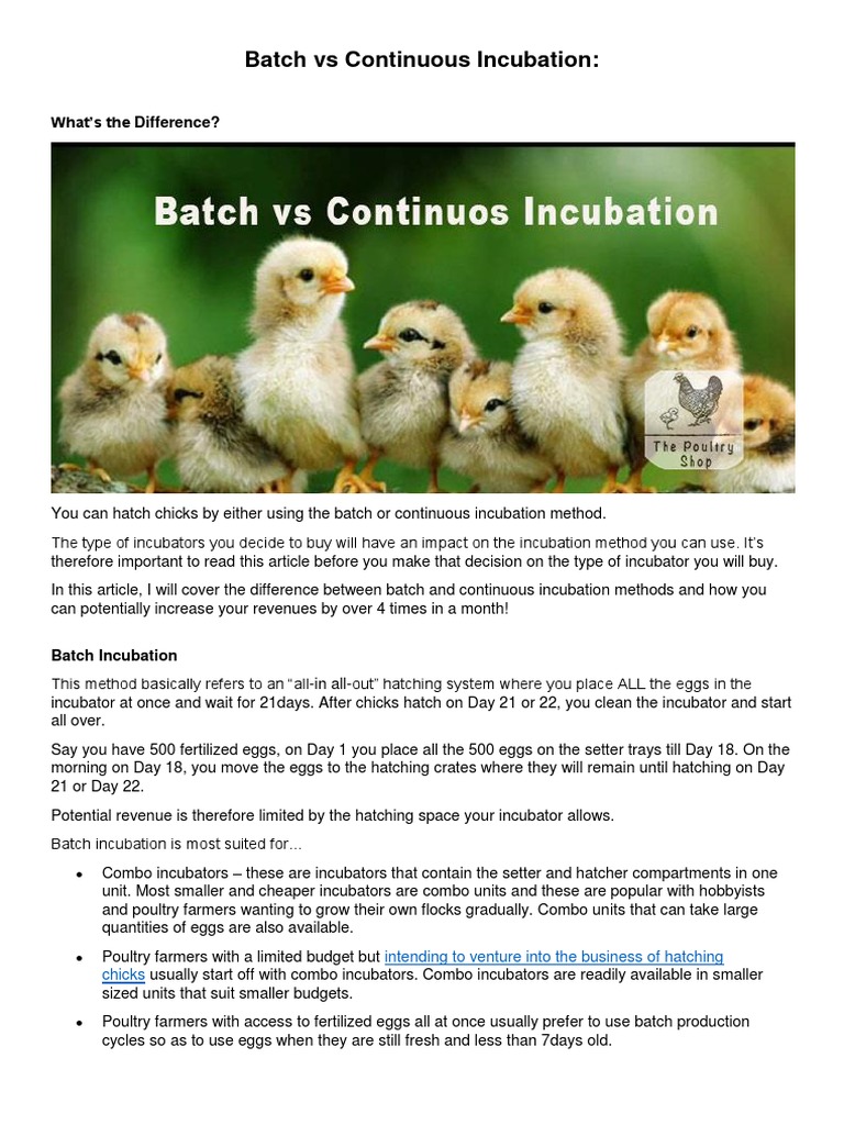 Incubation Methods for Poultry Farmers | PDF | Egg | Poultry Farming