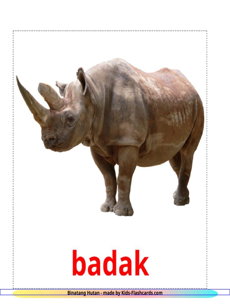Jungle Animals Flashcards in Indonesian | PDF | Cooking, Food & Wine ...