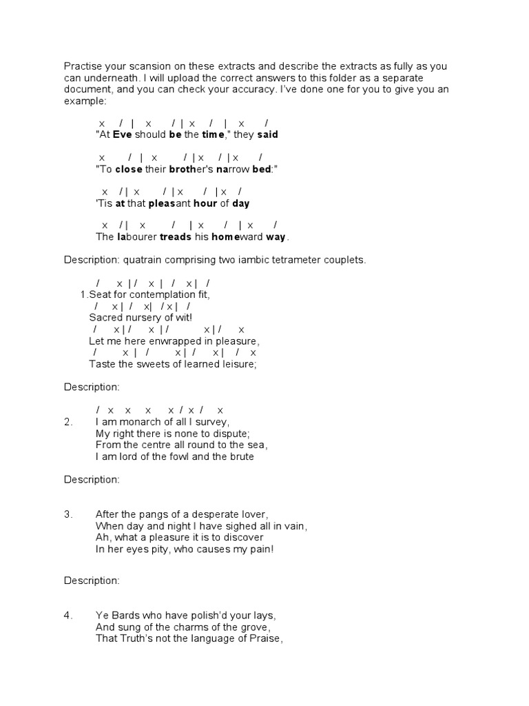 Scansion Practice Worksheet | PDF