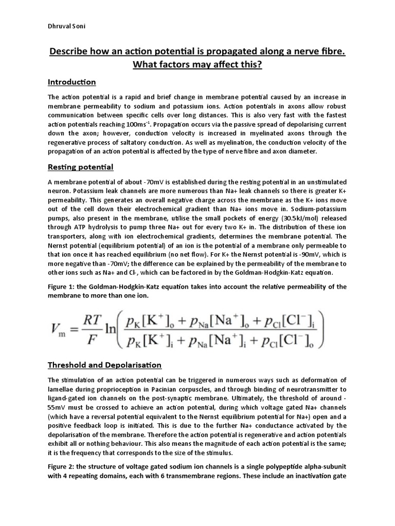 Action Potential Propagation in Axons | PDF | Action Potential | Myelin