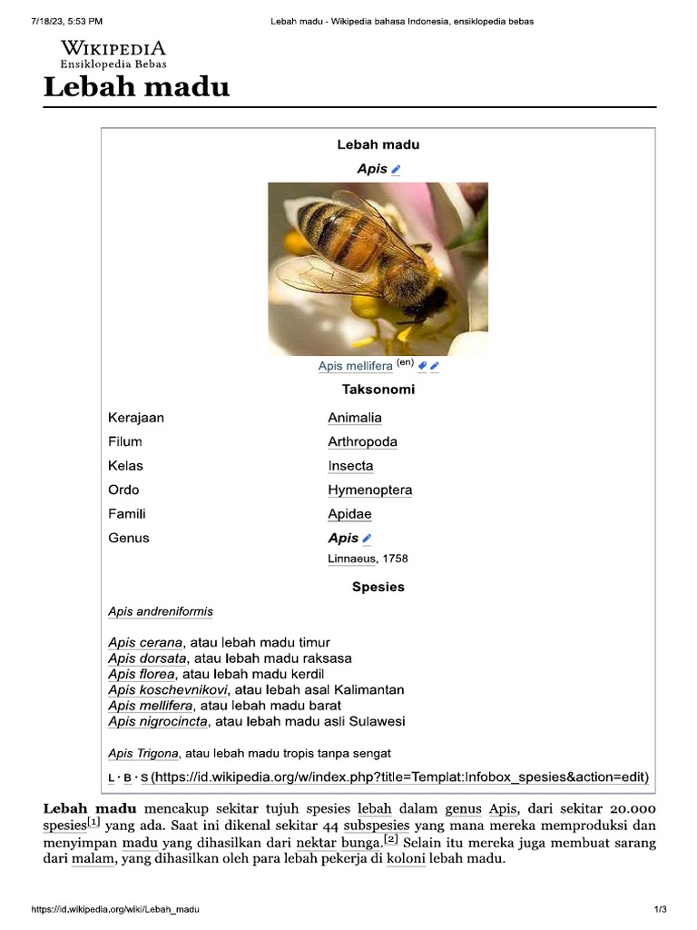 Lebah Madu | PDF