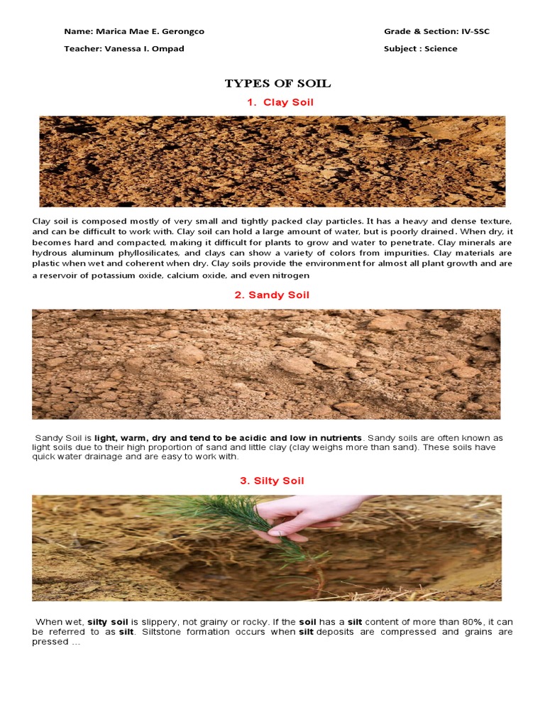 Types of Soil | Download Free PDF | Soil | Clay