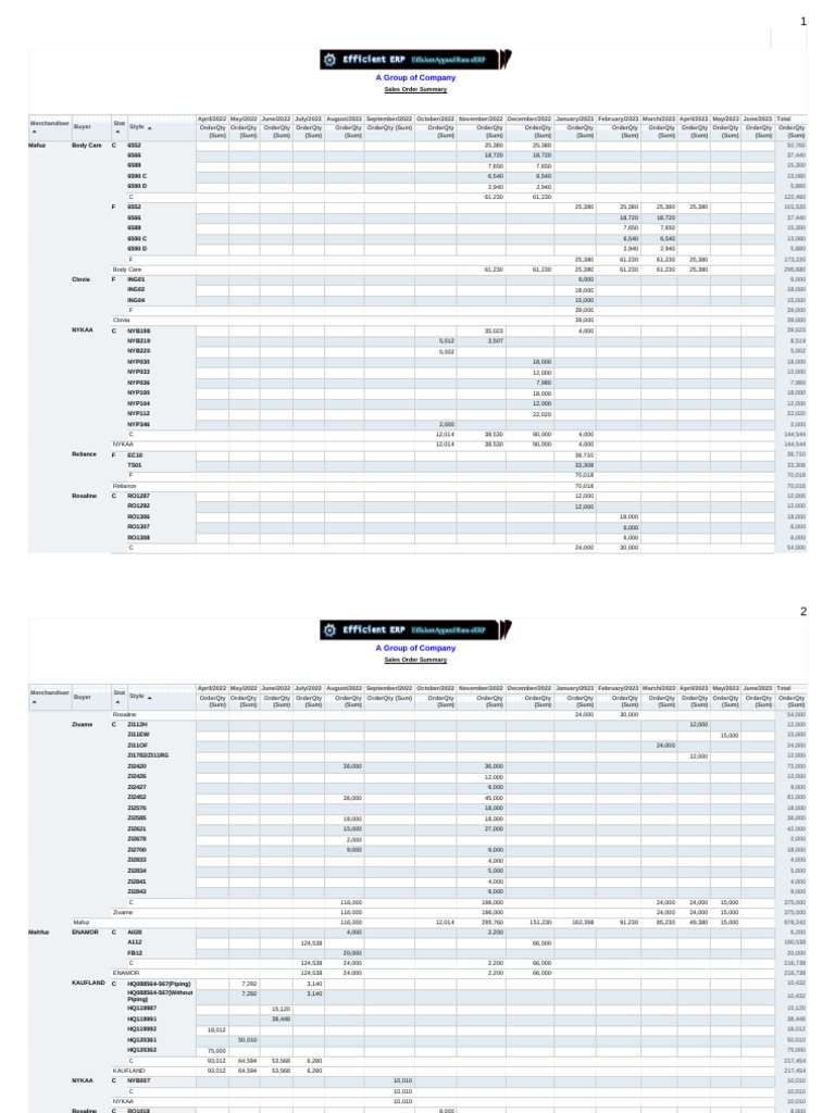 Efficient ERP: Order Summary-Buyer, Style, Month Specific | PDF