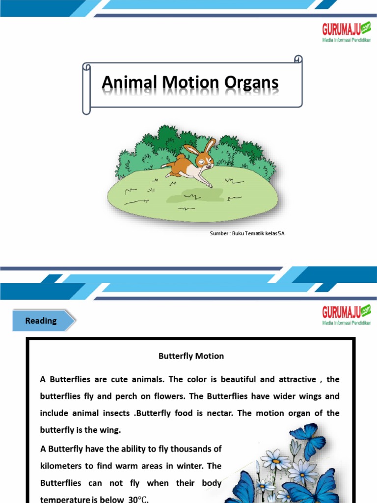 5.3.1.1 Animal Motion Organs | PDF | Butterfly | Zoology