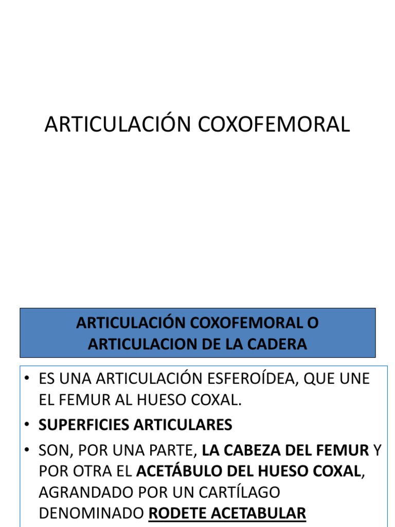 Articulación Coxofemoral | PDF