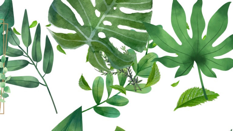 Demo Aesthetic | PDF