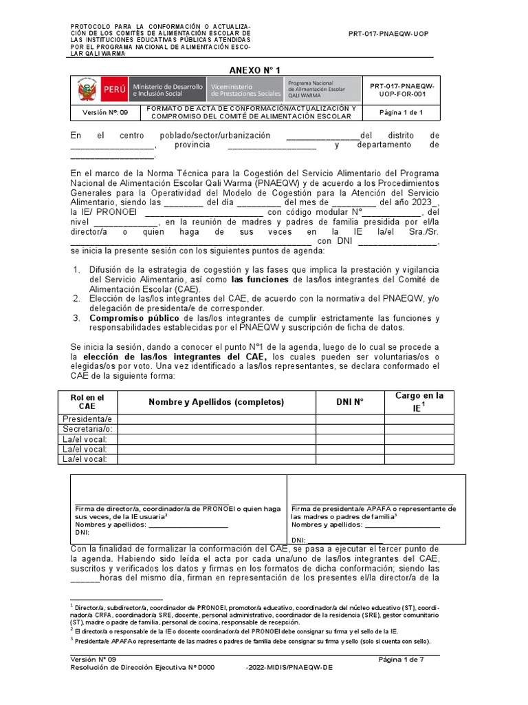 Formato Cae 2023 Version 9 | PDF | Privacidad de la información