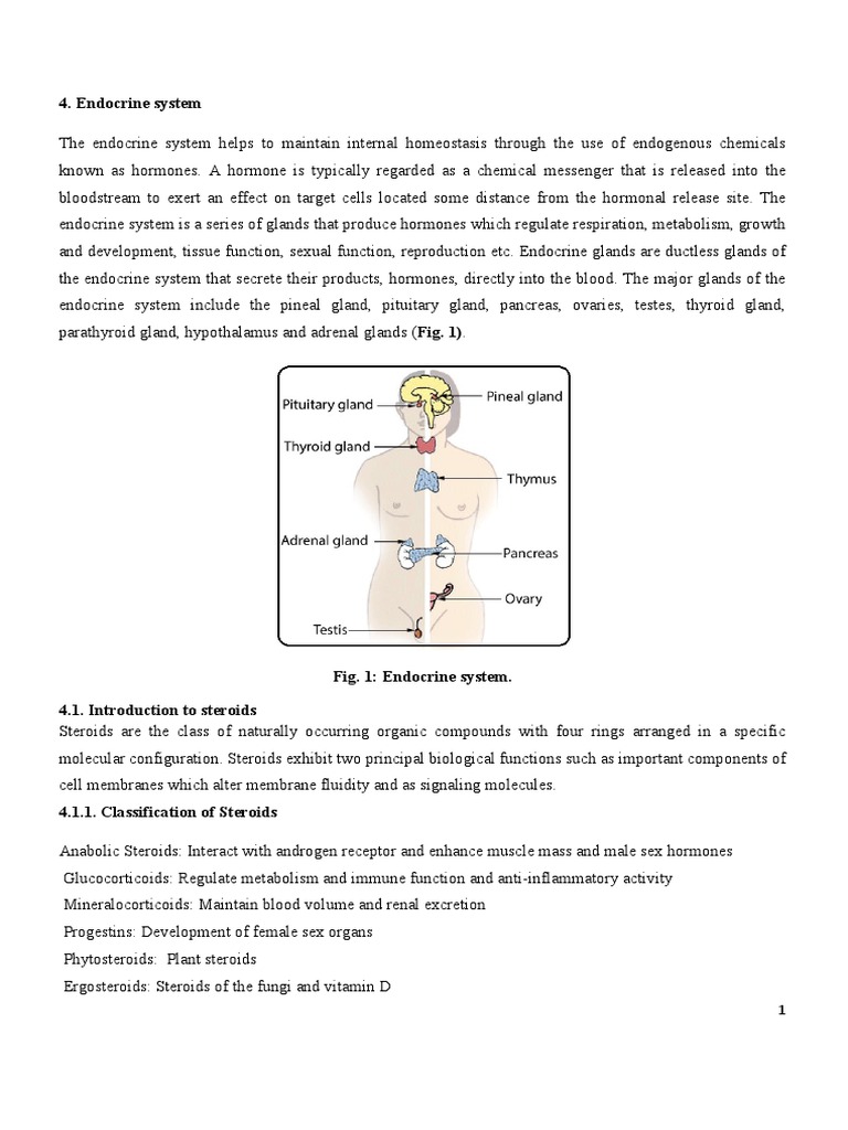 Steroids | PDF | Glucocorticoid | Endocrine System