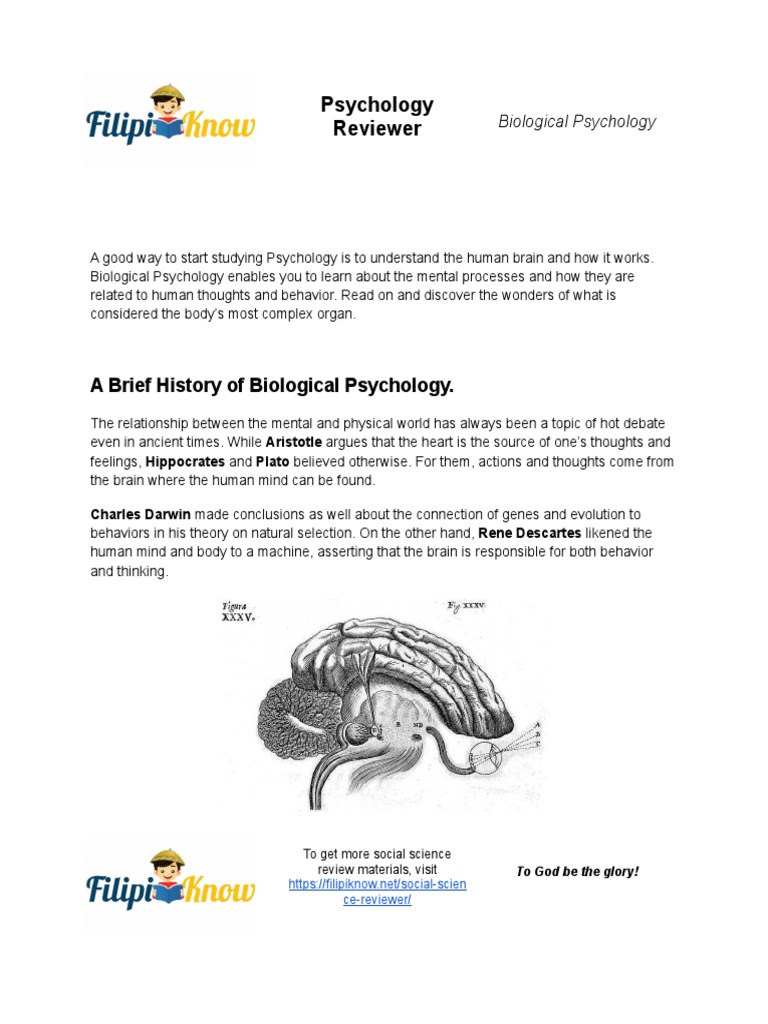 Biological Psychology | PDF | Cerebral Hemisphere | Brain