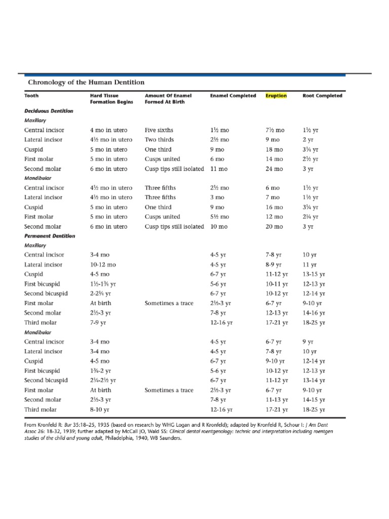 Kronologi Erupsi Gigi | PDF