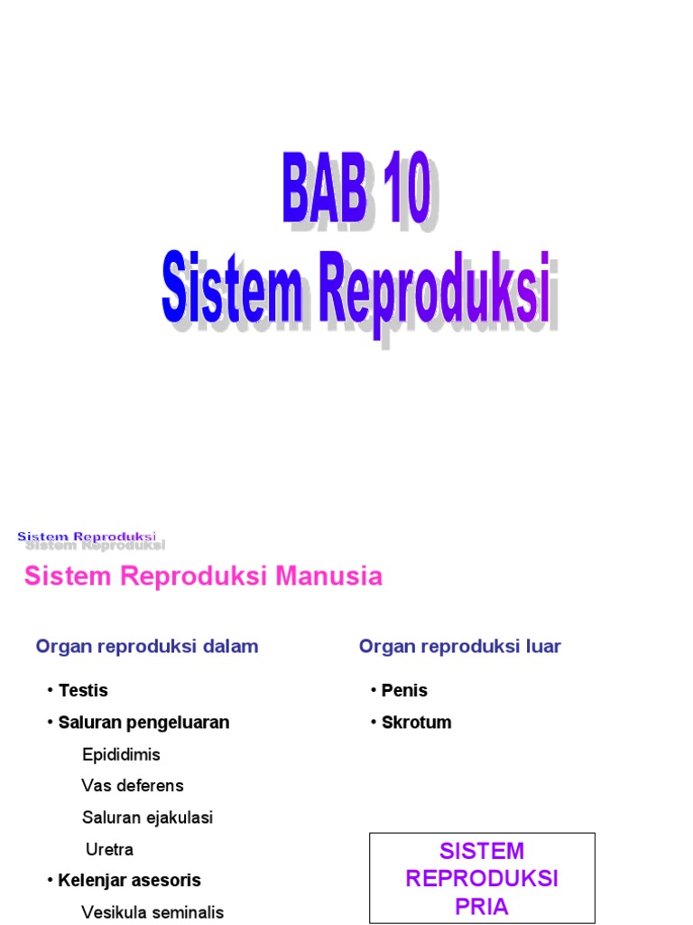 Bab 10 | PDF | Sains & Matematika