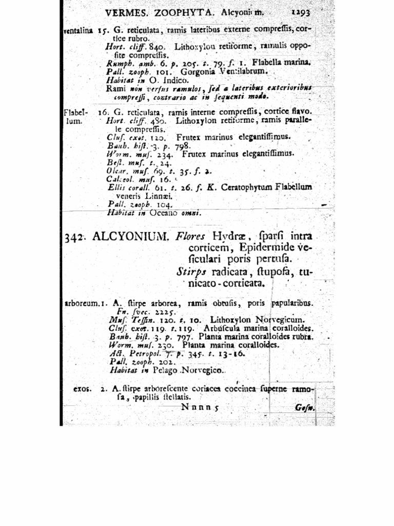 Linnaeus, 1767 | PDF